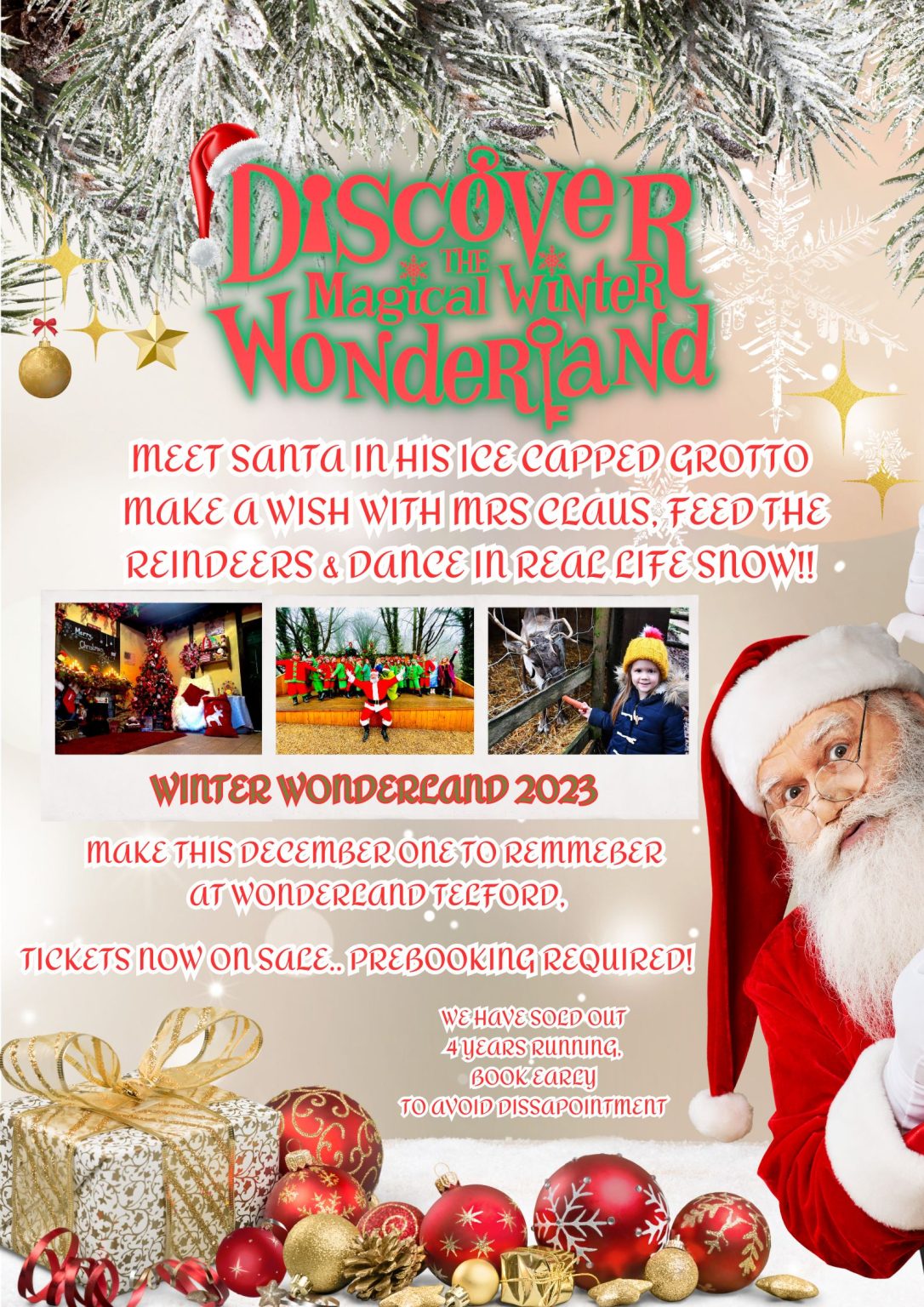 Home - Wonderland